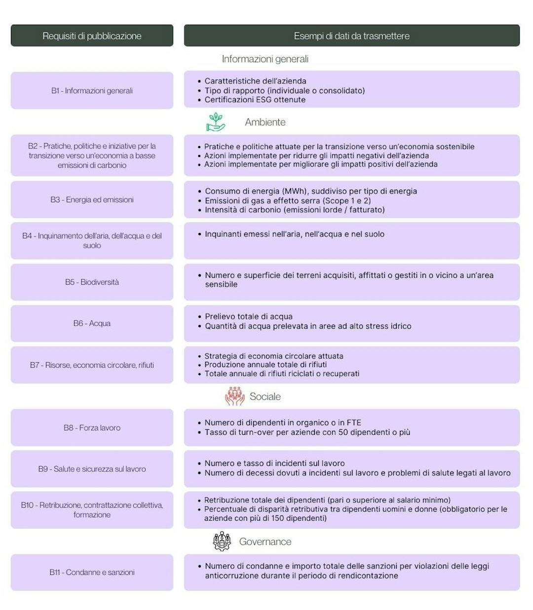 Tutto quello che devi sapere sulla norma VSME per le PMI