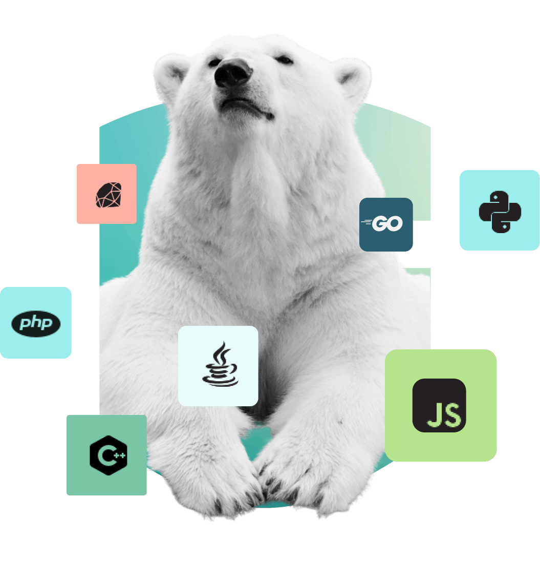 Application Security For All Major Programming Languages Guardrails