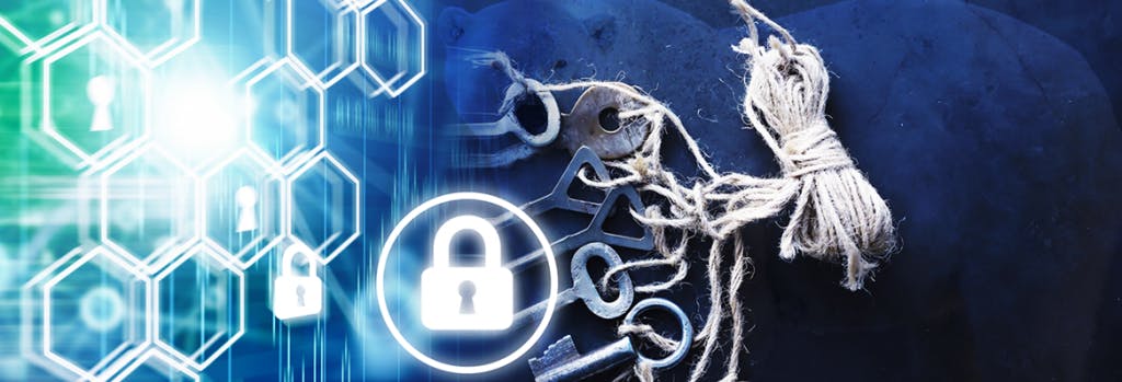 Whats The Difference Between Appsec Software Security Cybersecurity