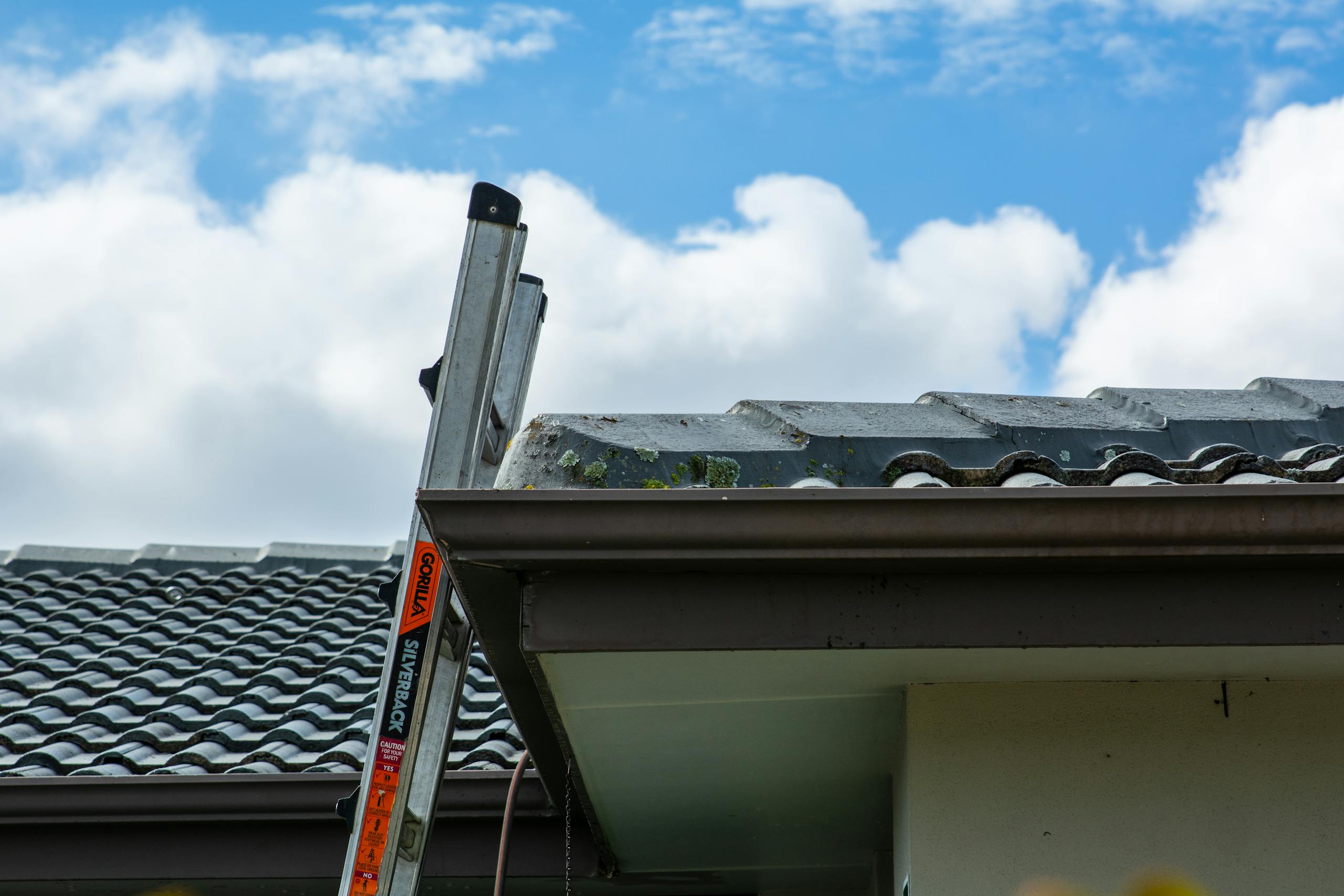 Moss, Mould, Lichen & Algae Removal | GutterCare Auckland NZ