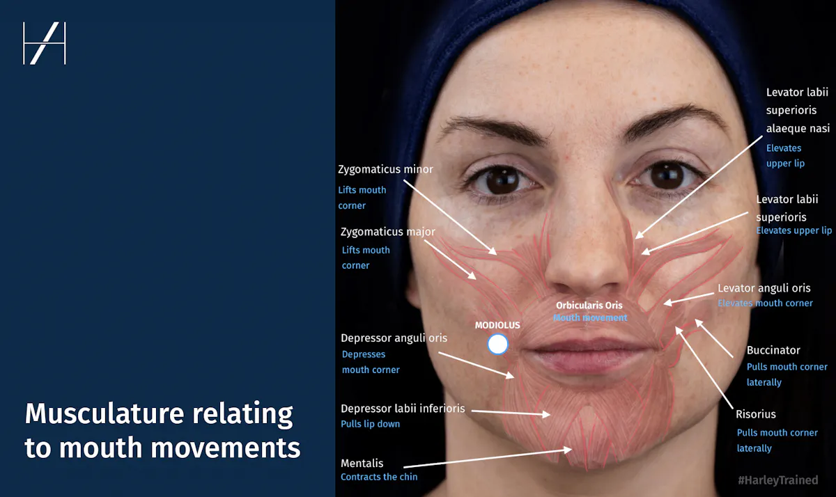 What does Lip Ptosis look like and what causes it?
