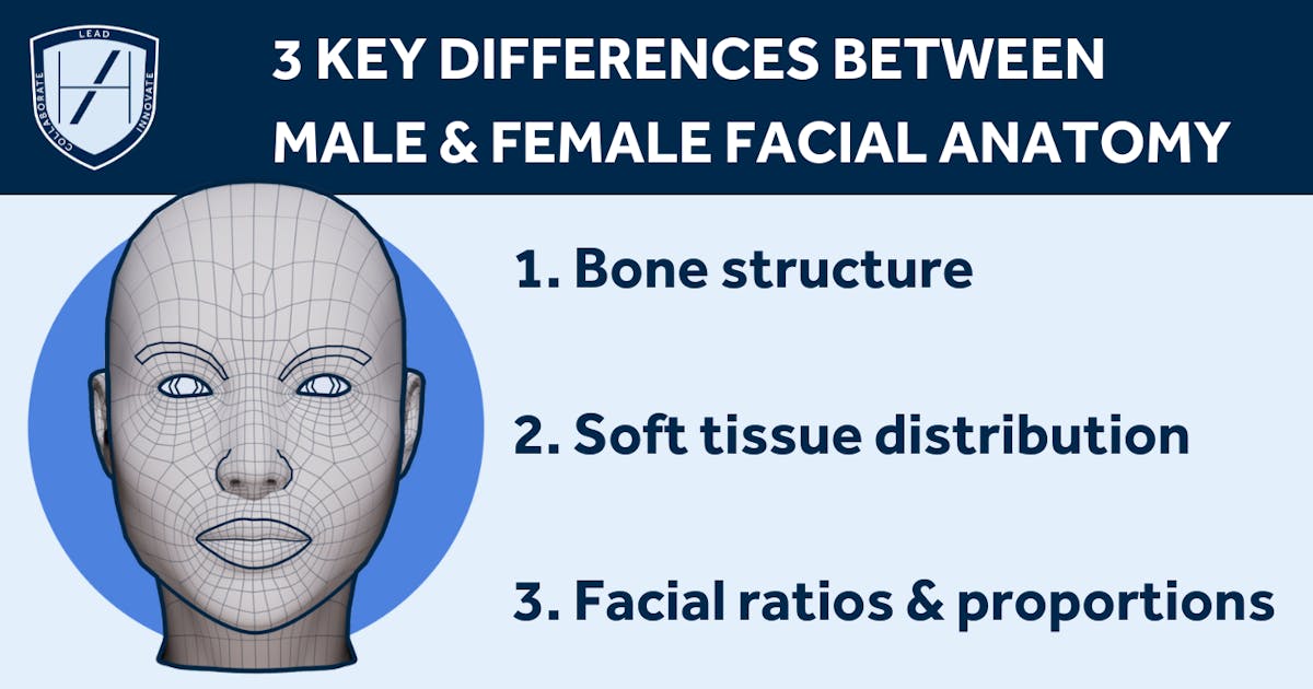 An Injector’s Guide to Differences in Male & Female Facial Anatomy ...