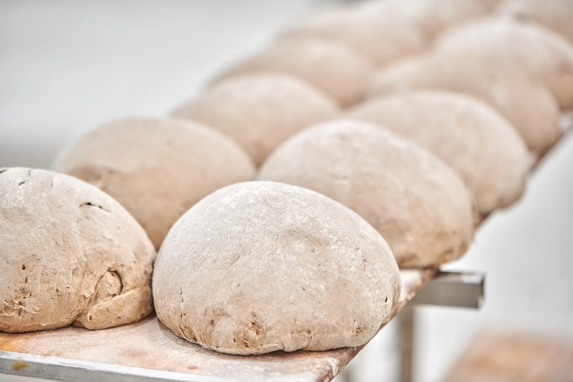 Feinbäckerei Thiele | Haus der Bäcker