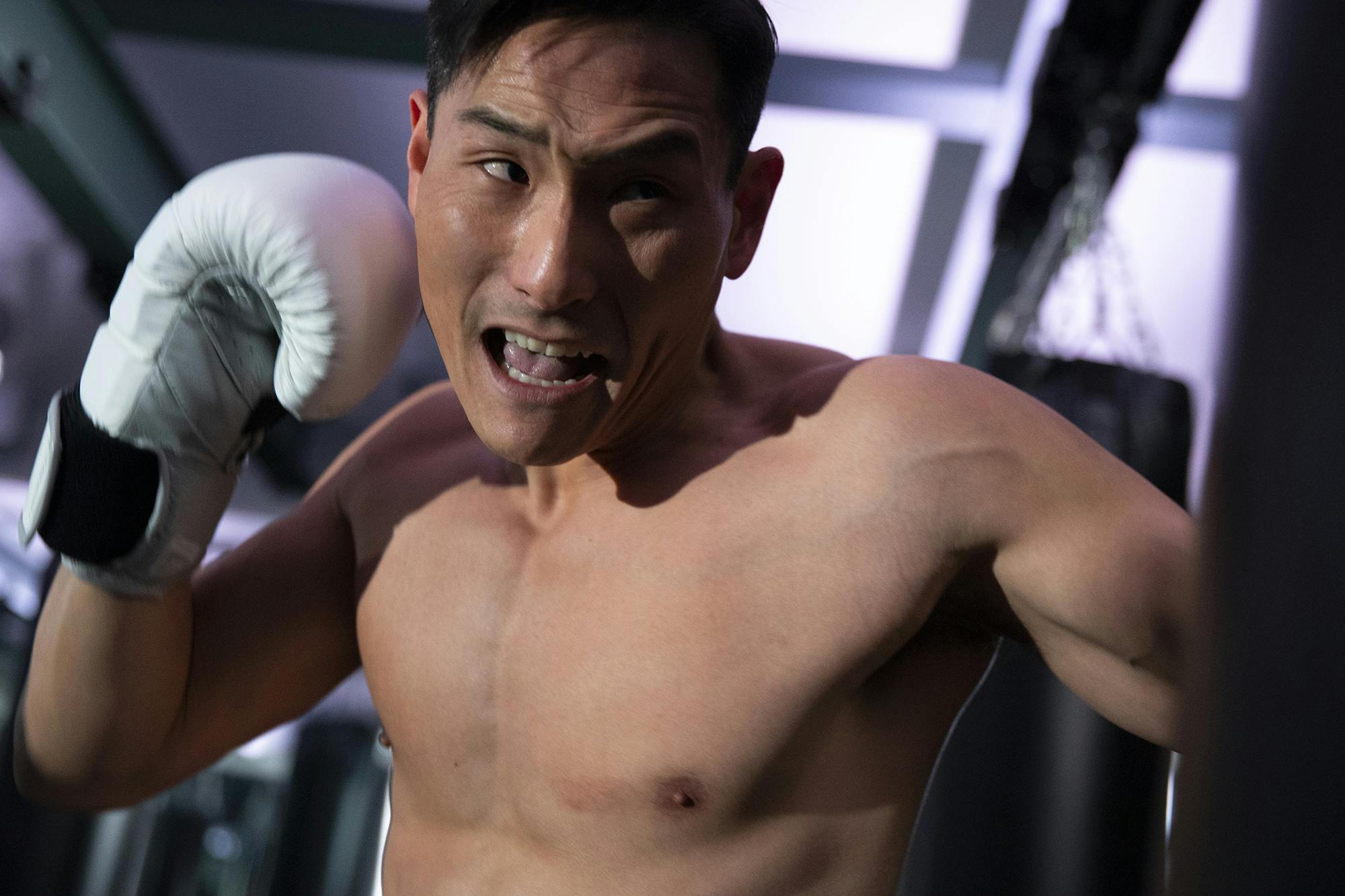 Hayabusa T3 White/Grey Boxing Gloves | Lanny Joon • Hayabusa Canada