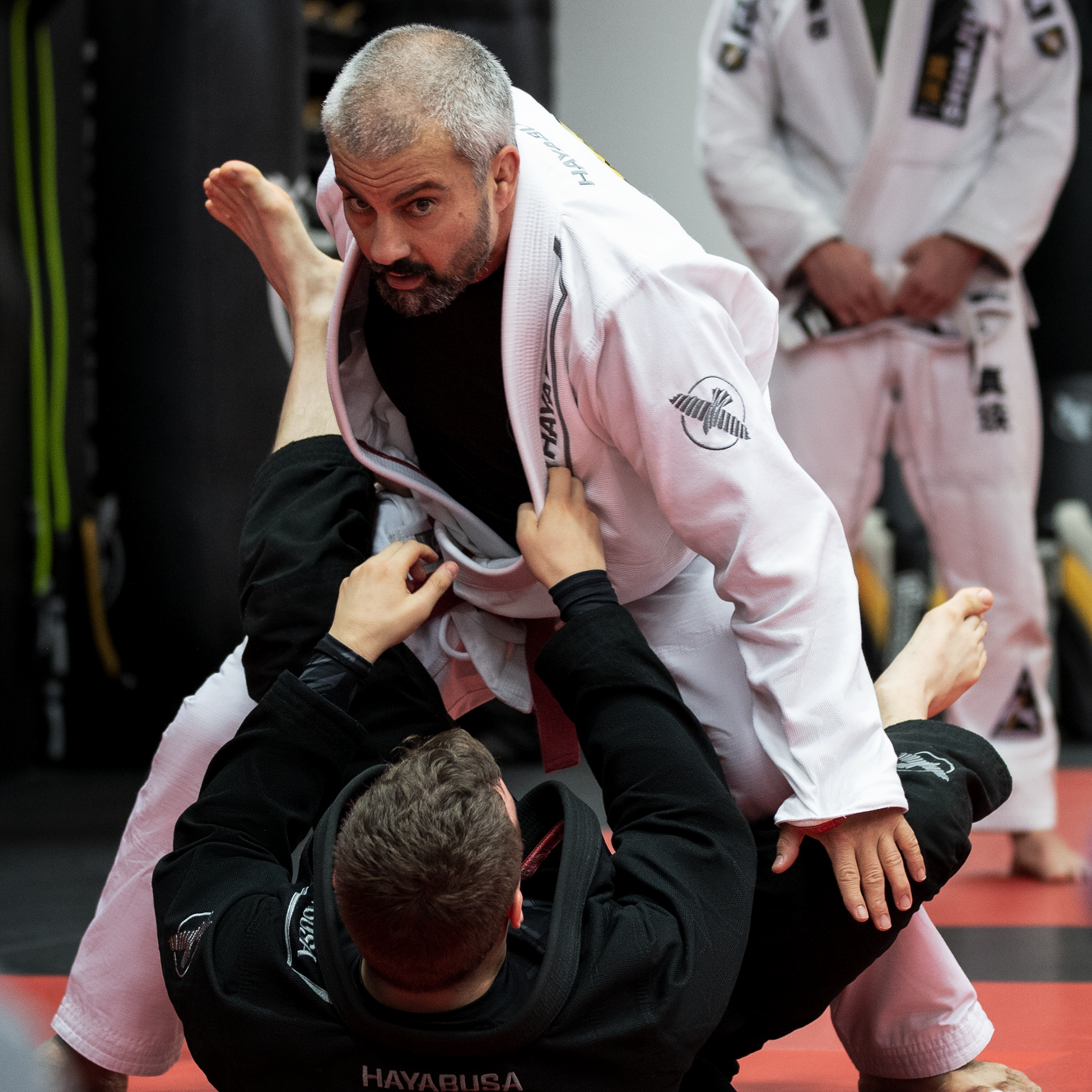 Carlos Machado - Jiu Jitsu Master • Hayabusa