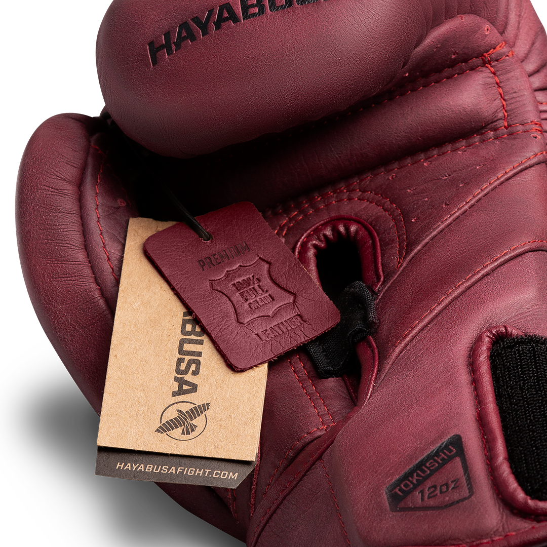 Hayabusa T3 LX Leather Boxing Gloves | Luxurious Leather • Hayabusa Fight