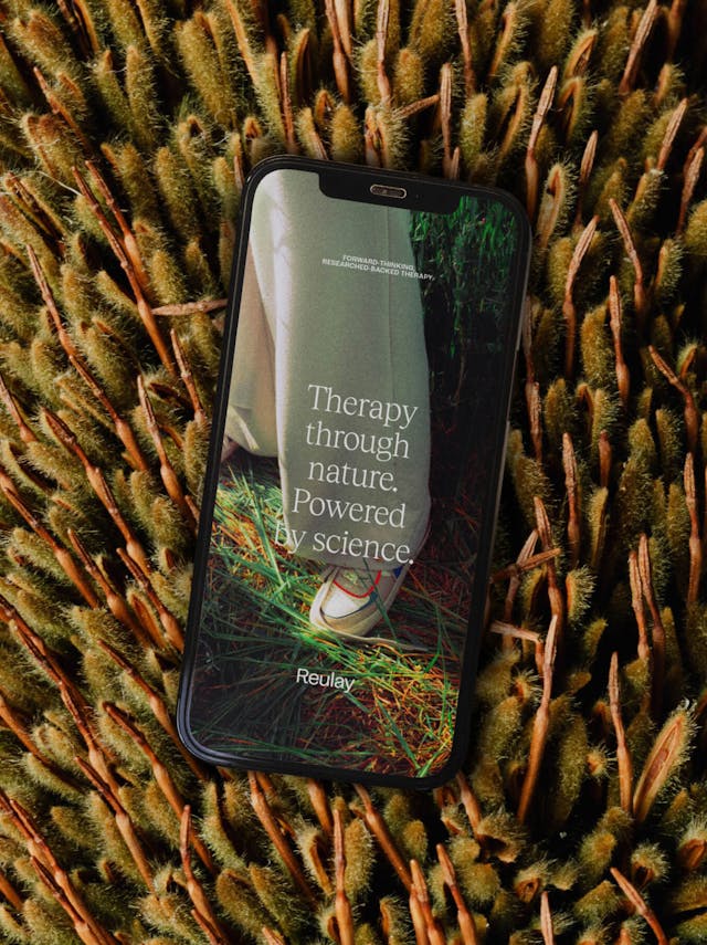 Reulay — Hello Comrade