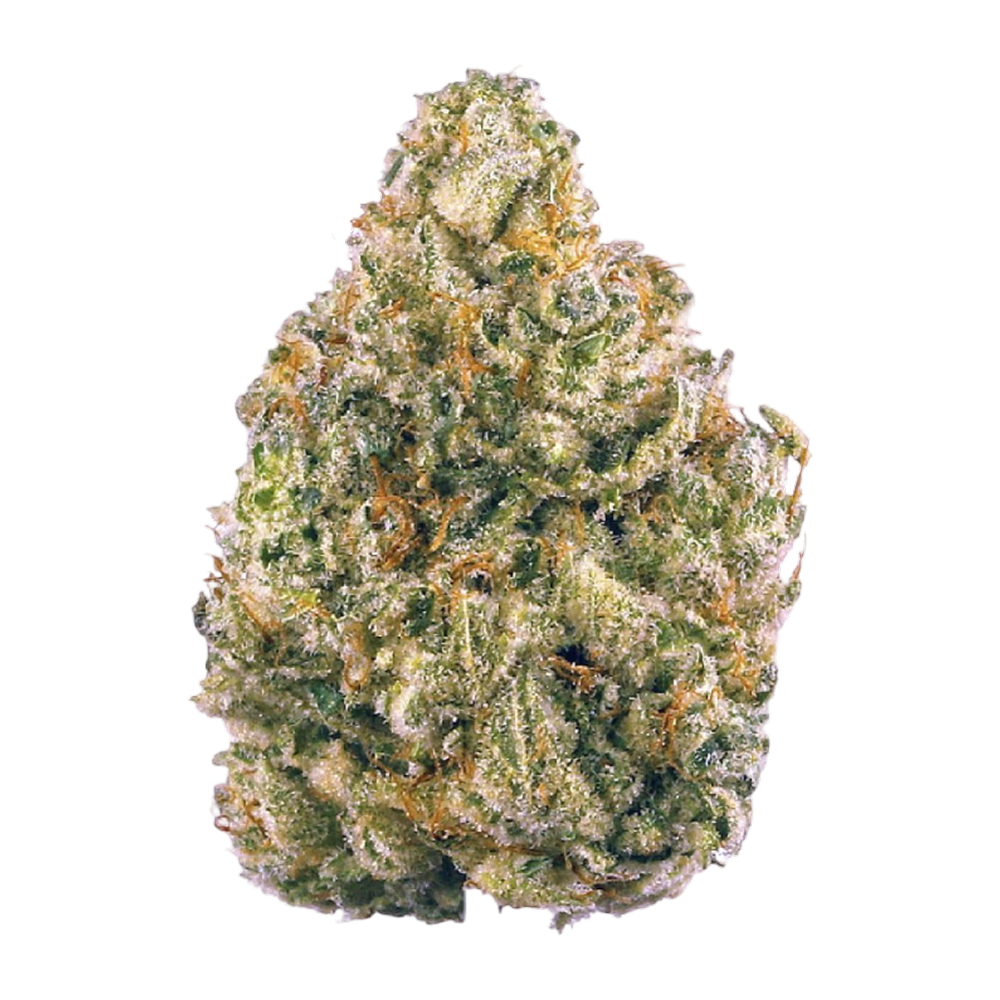 Society C | Devil's Drip | Bulk Flower - 1 g – Premium Cannabis ...