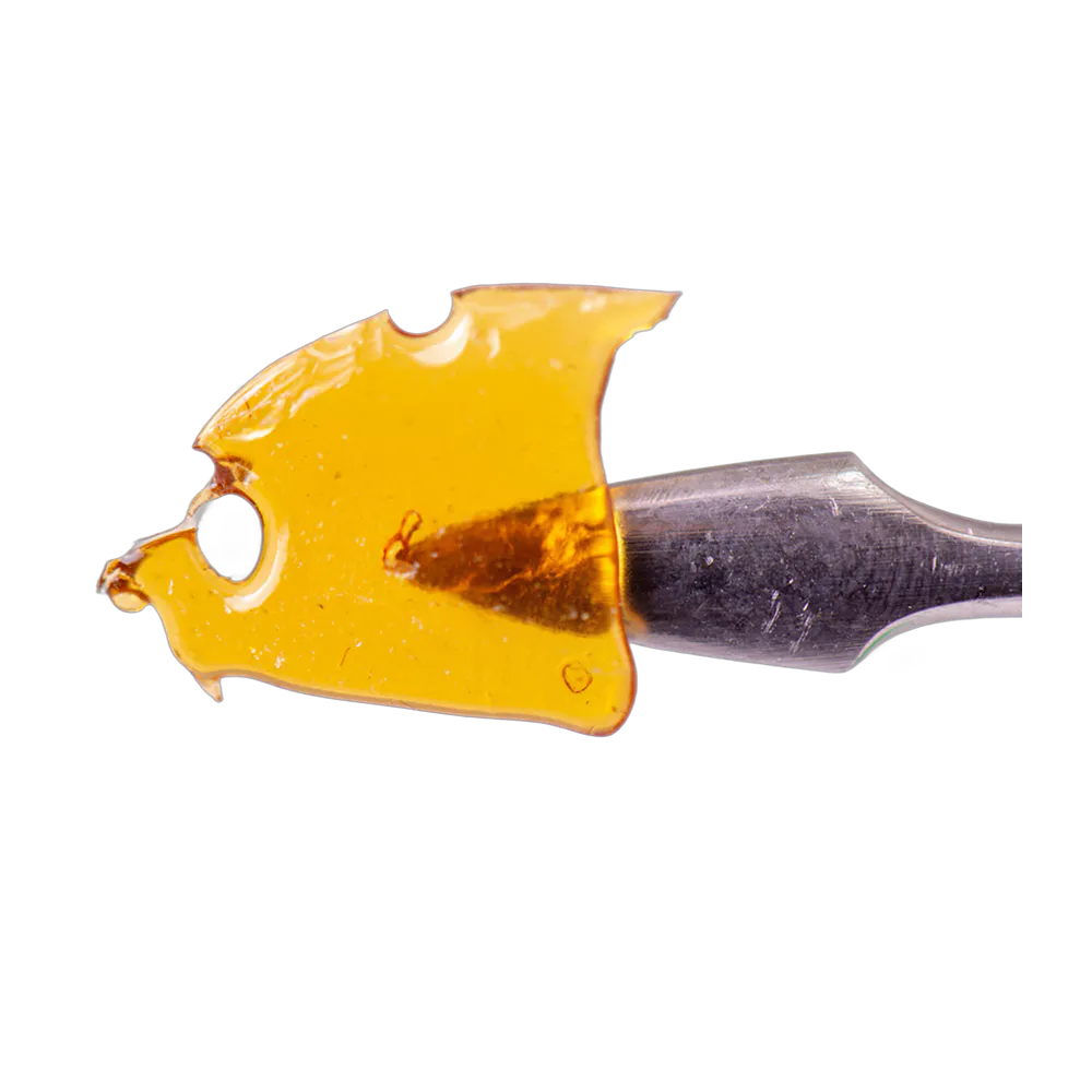 GOLD CROWN X LEGASEA | SHATTER | 1G | TROP CHERRY - 1 g – Premium ...