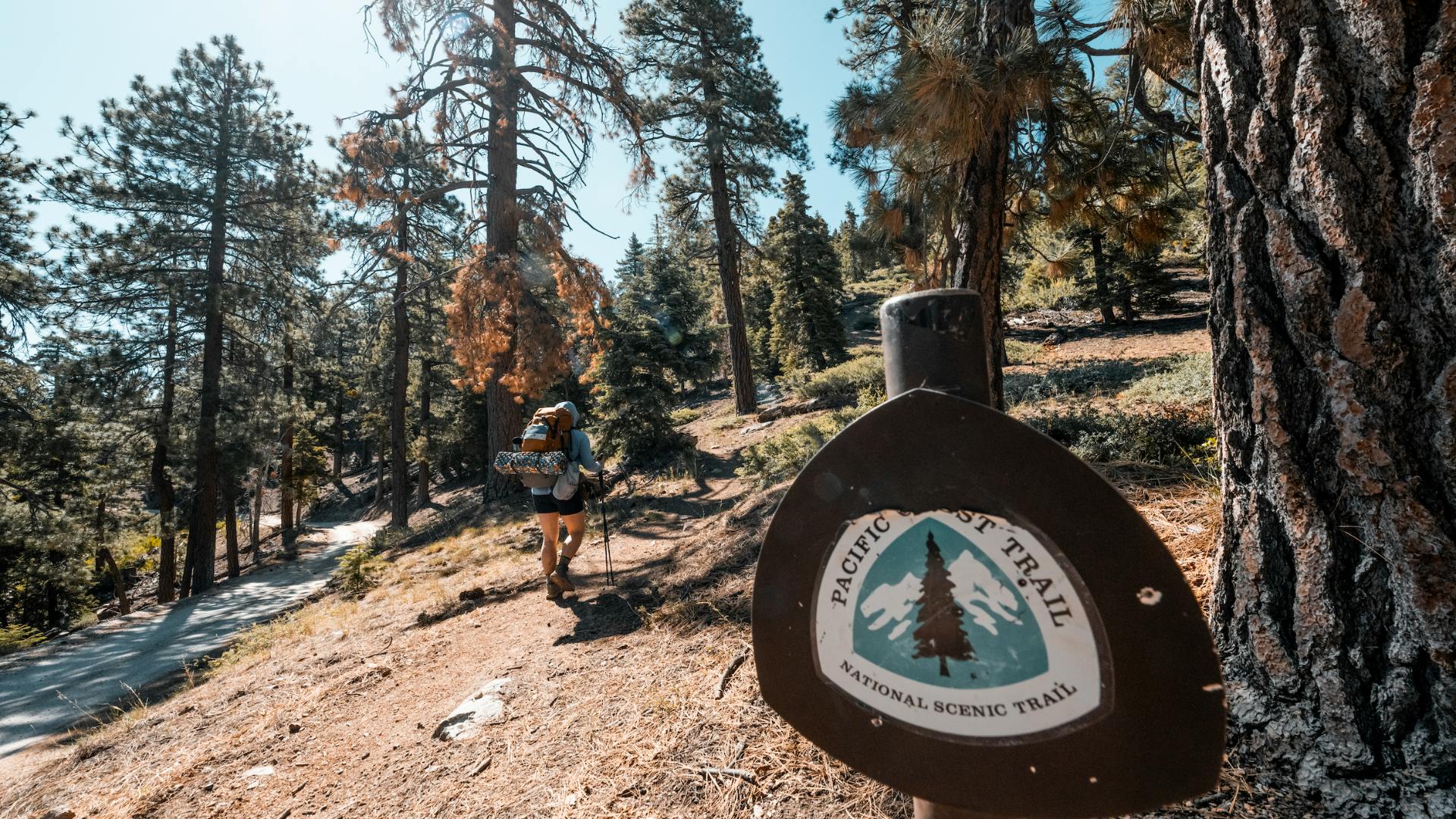 An unforgettable hiking adventure in the San Bernardino Mountains is ...