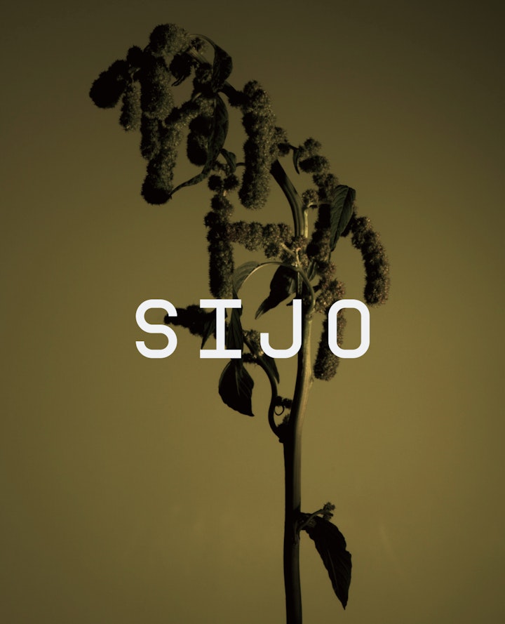 Sijo - High Tide