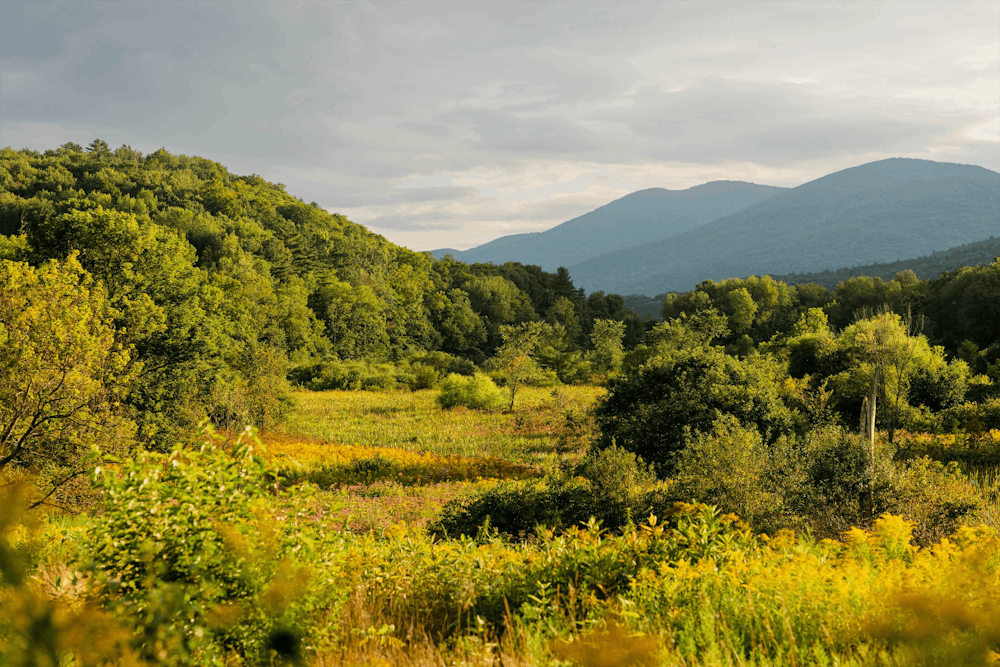 Hill Farm | Sustainable Farm with Historic Inn & Restaurant