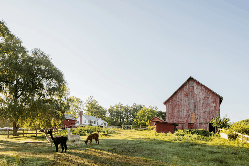 Hill Farm | Sustainable Farm with Historic Inn & Restaurant