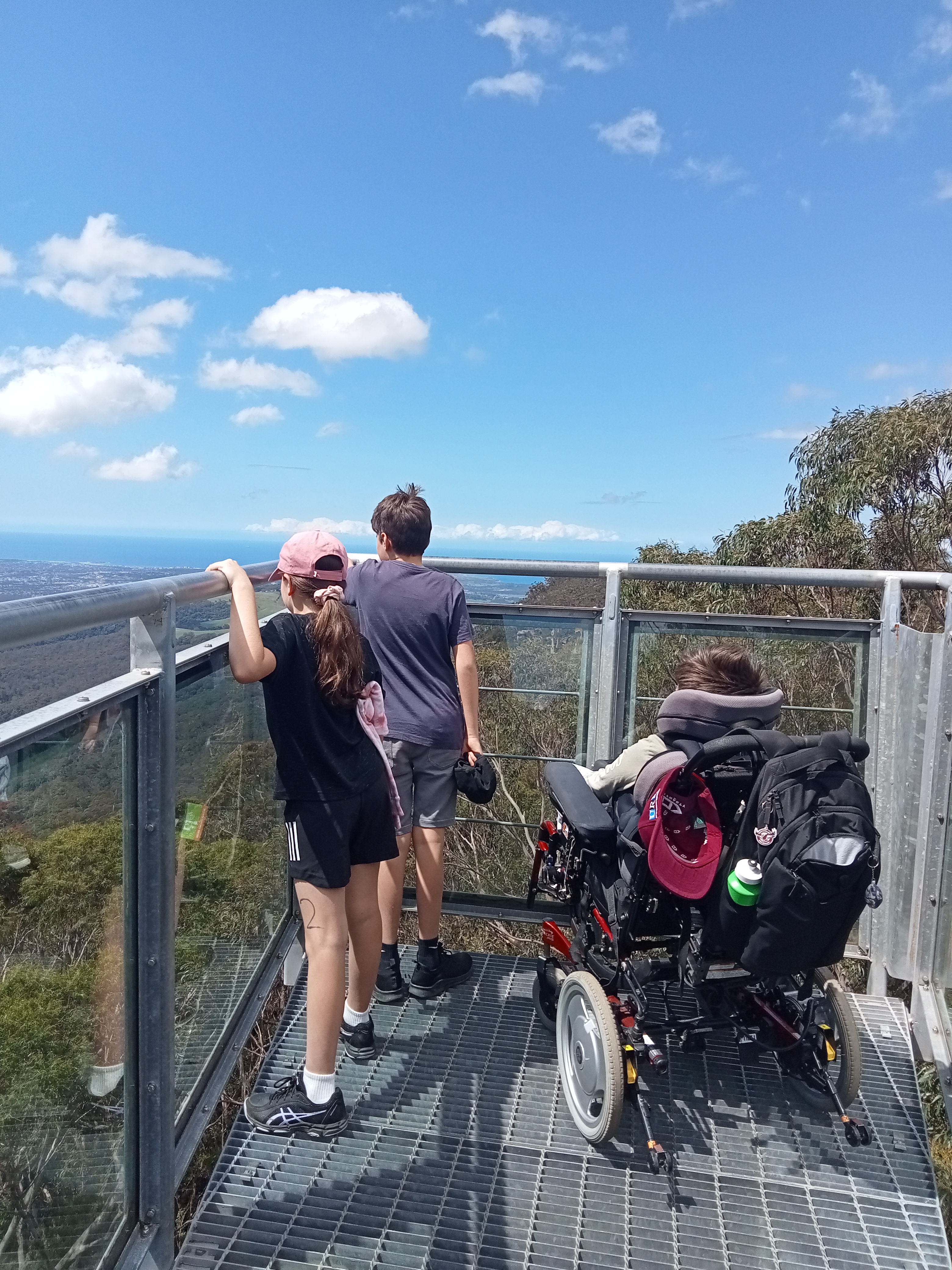10 accessible activities in NSW | Hireup