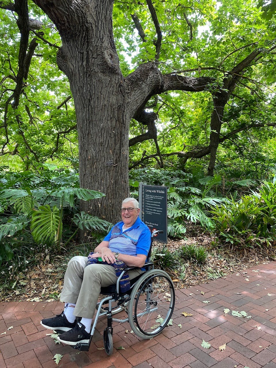 From sales to disability support, Paul Cavanagh reflects on his career ...