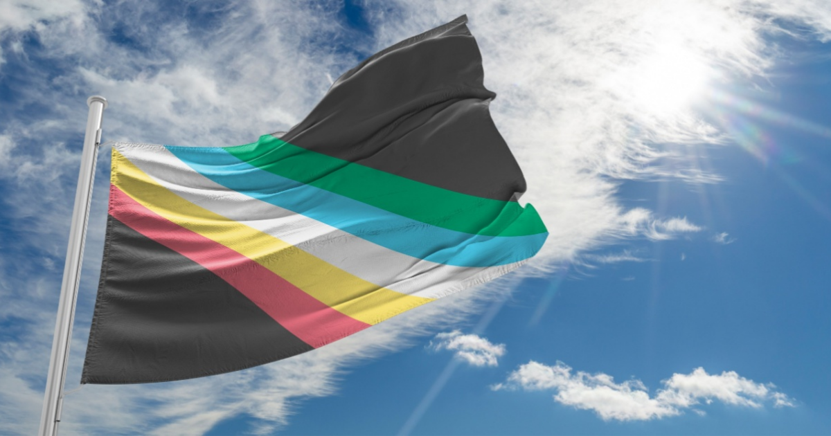 The power of pride: What the Disability Pride Flag colours mean | Hireup