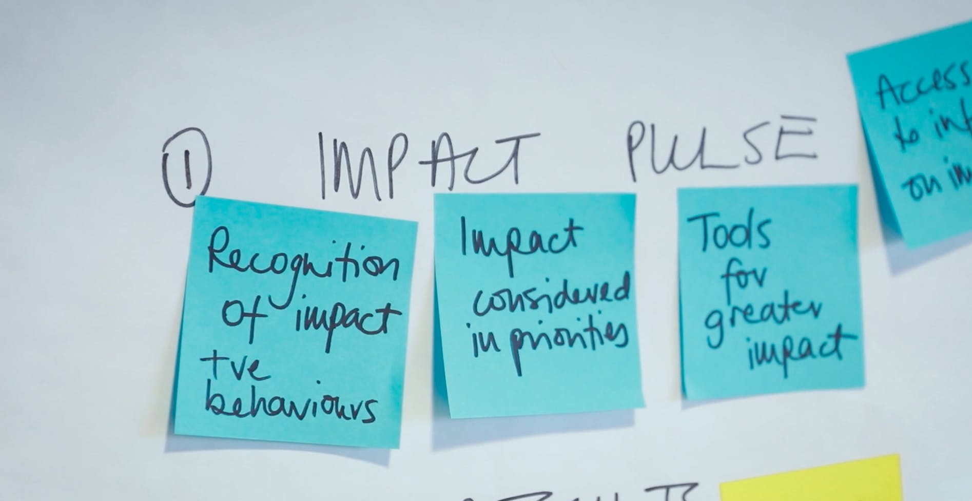 Impact Performance | Hireup