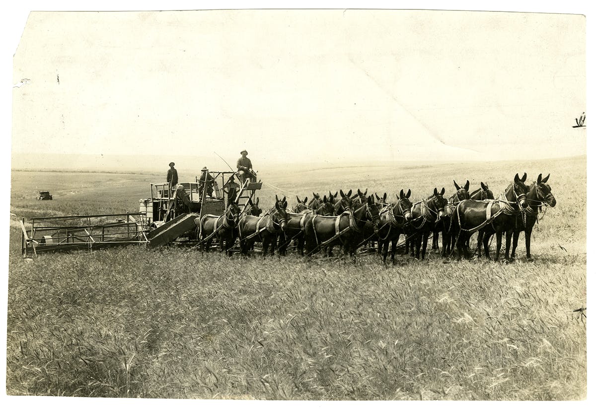 Bulldozer fun facts that won't leave you dozing