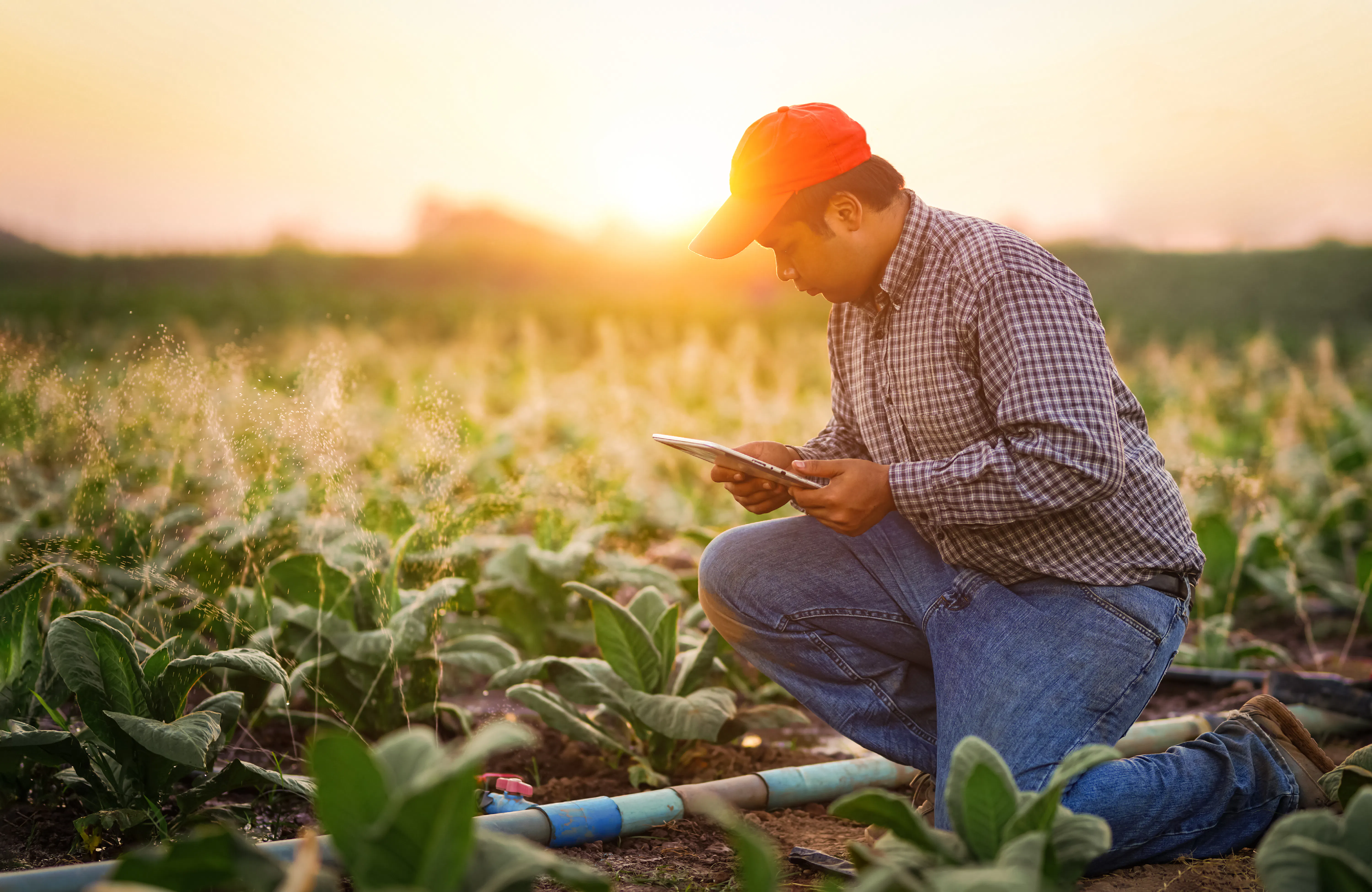 Benefits and Applications of Smart Water Management - HomeWater