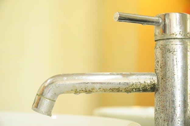 How to Tell if You Have Hard Water: Signs, Tests, and Solutions - HomeWater