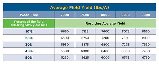 Provisia® Rice System Improves Productivity in Crisis Weedy Rice Fields ...