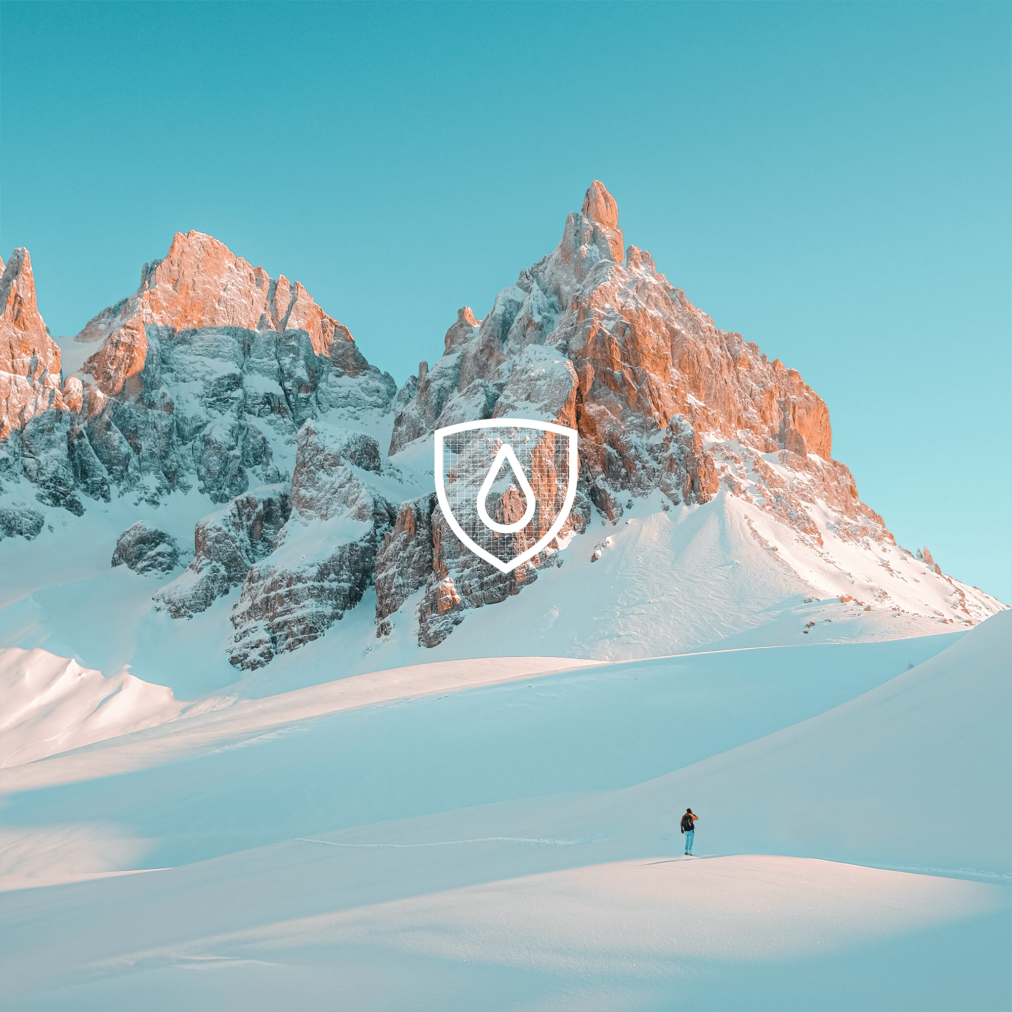 Brand Identity, Website Design & Website Development for Amphico