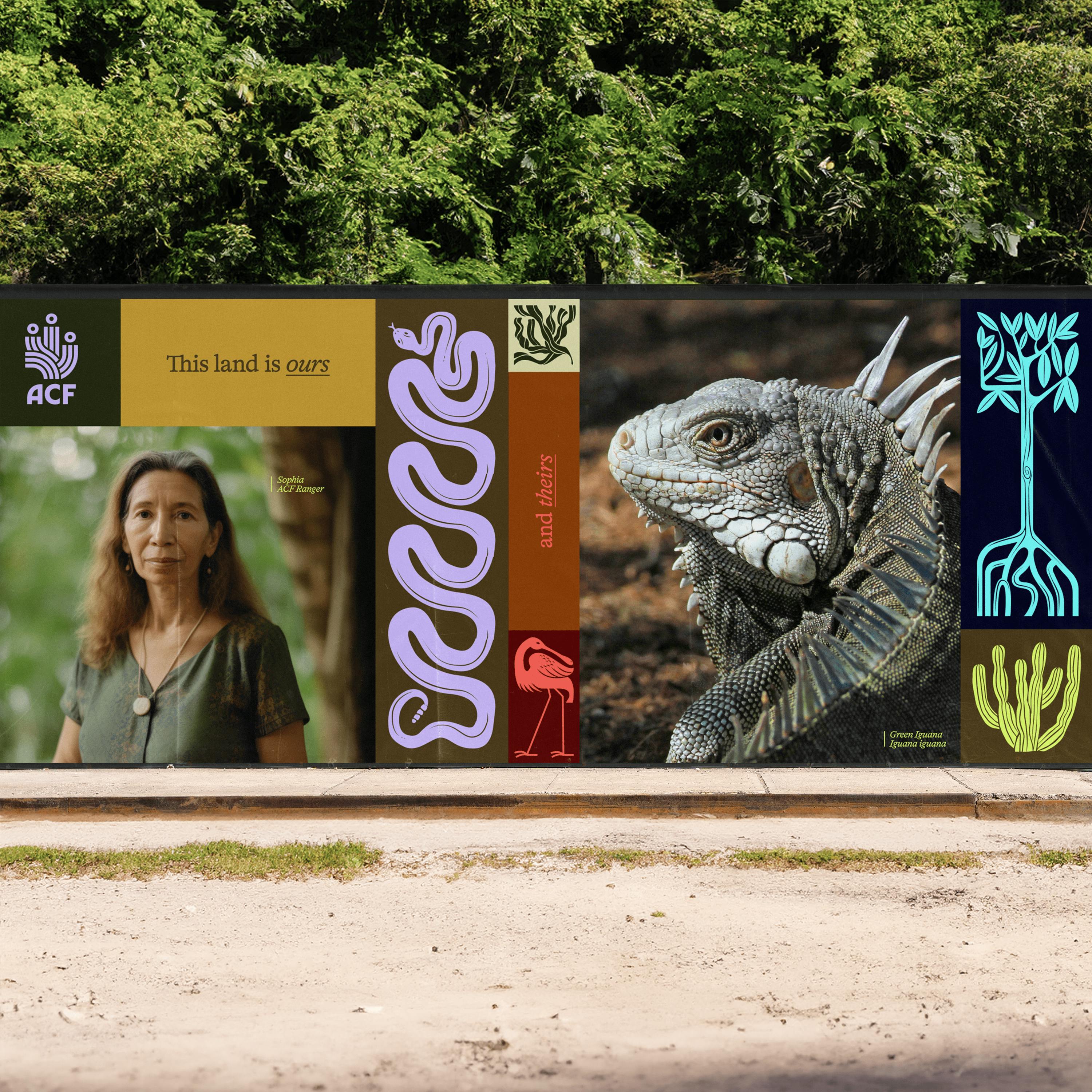 Aruba Conservation Foundation Rebrand & Website