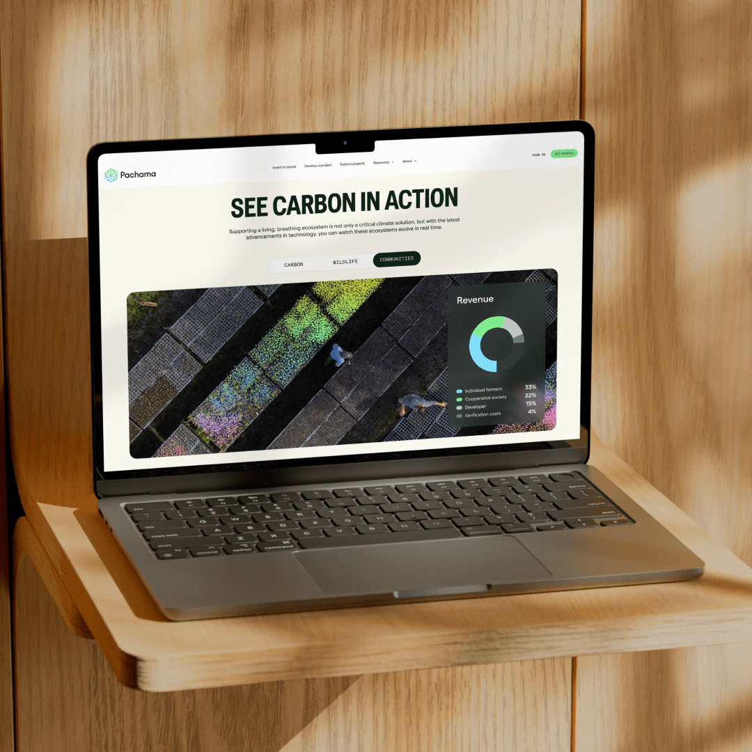 Brand Identity & Website Design for Pachama
