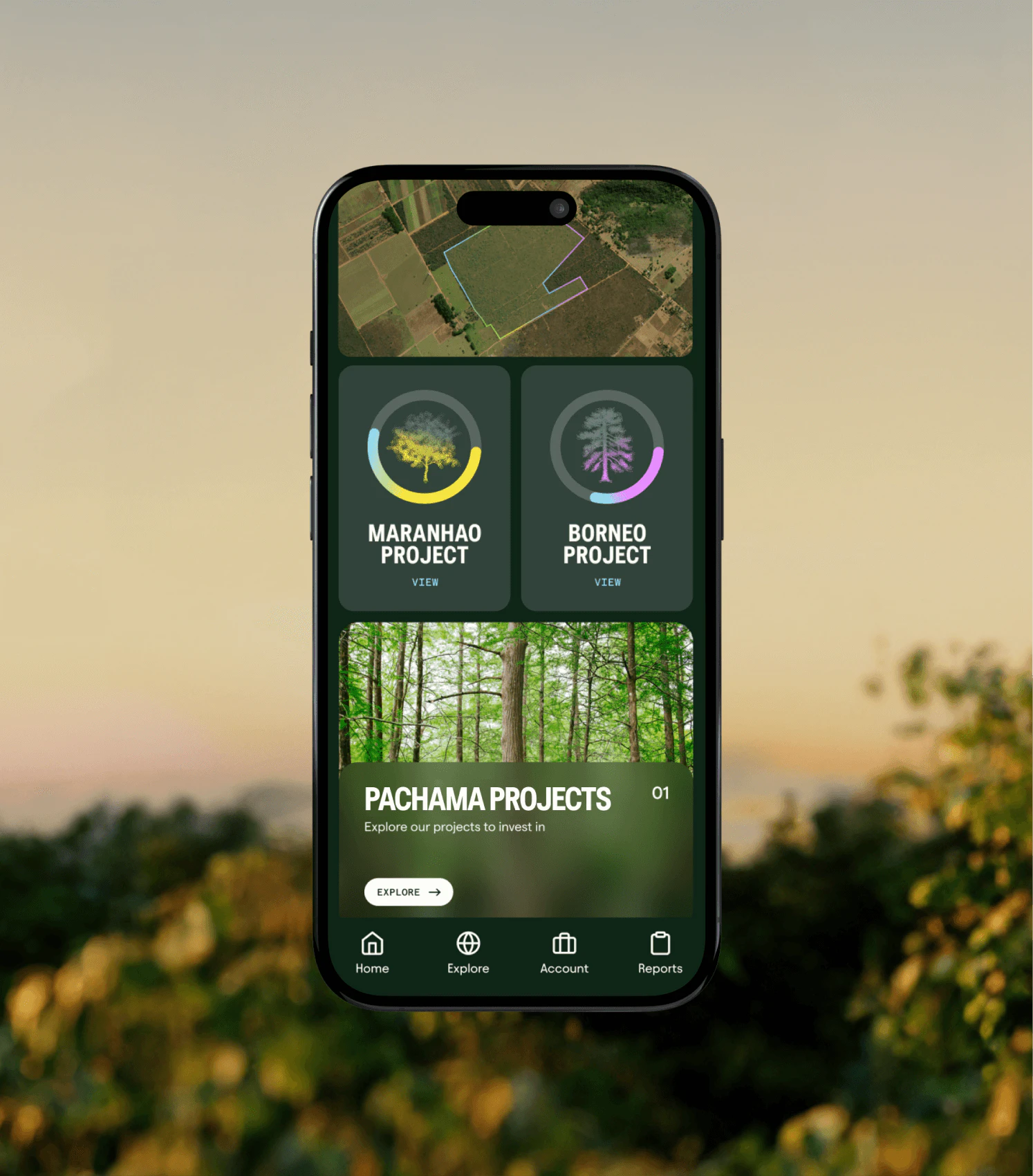 Brand Identity & Website Design for Pachama