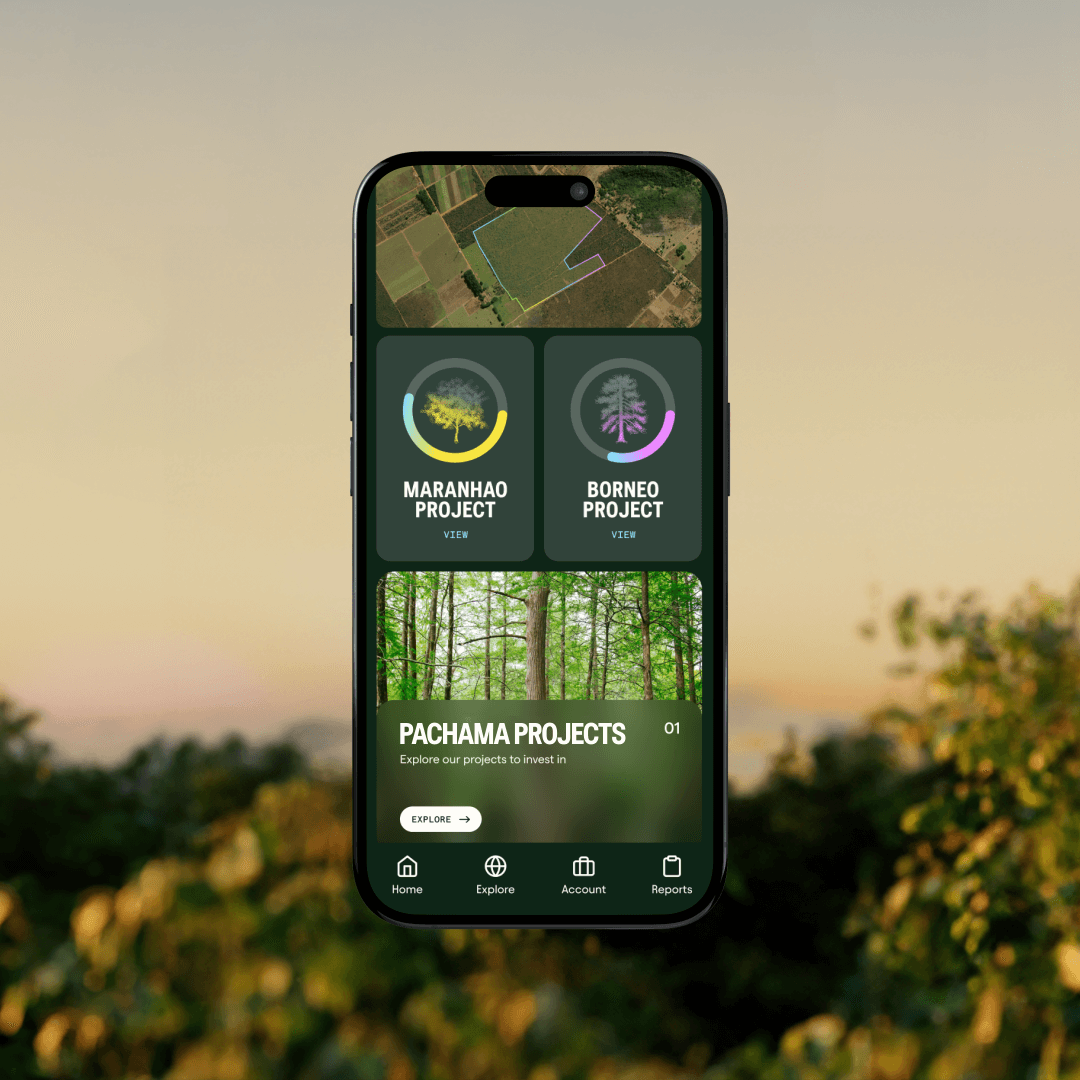 Brand Identity & Website Design for Pachama