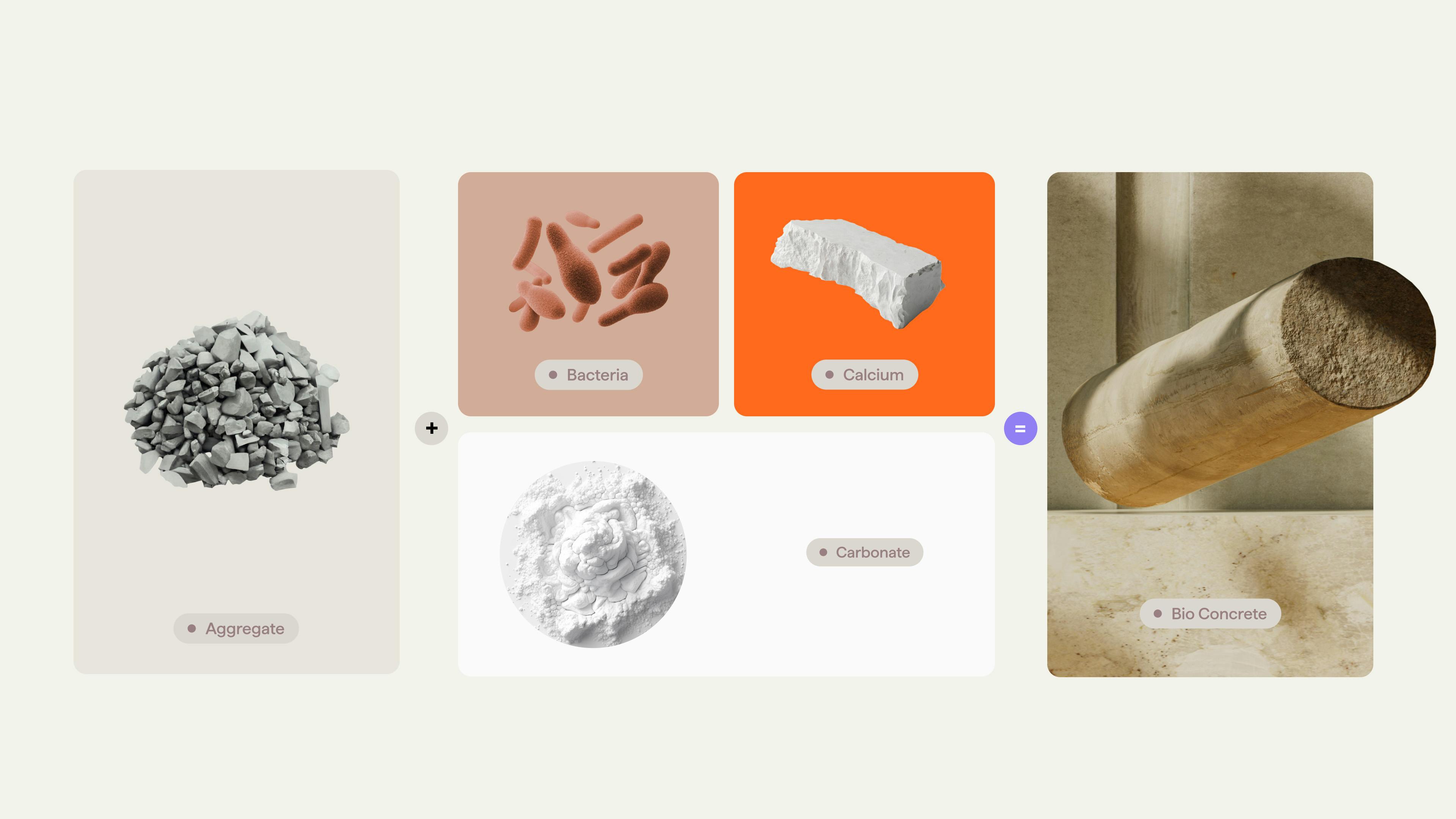 Brand Strategy, Verbal & Visual Identity for Biozeroc