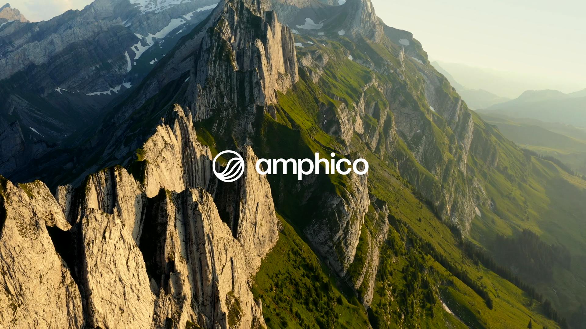 Brand Identity, Website Design & Website Development for Amphico