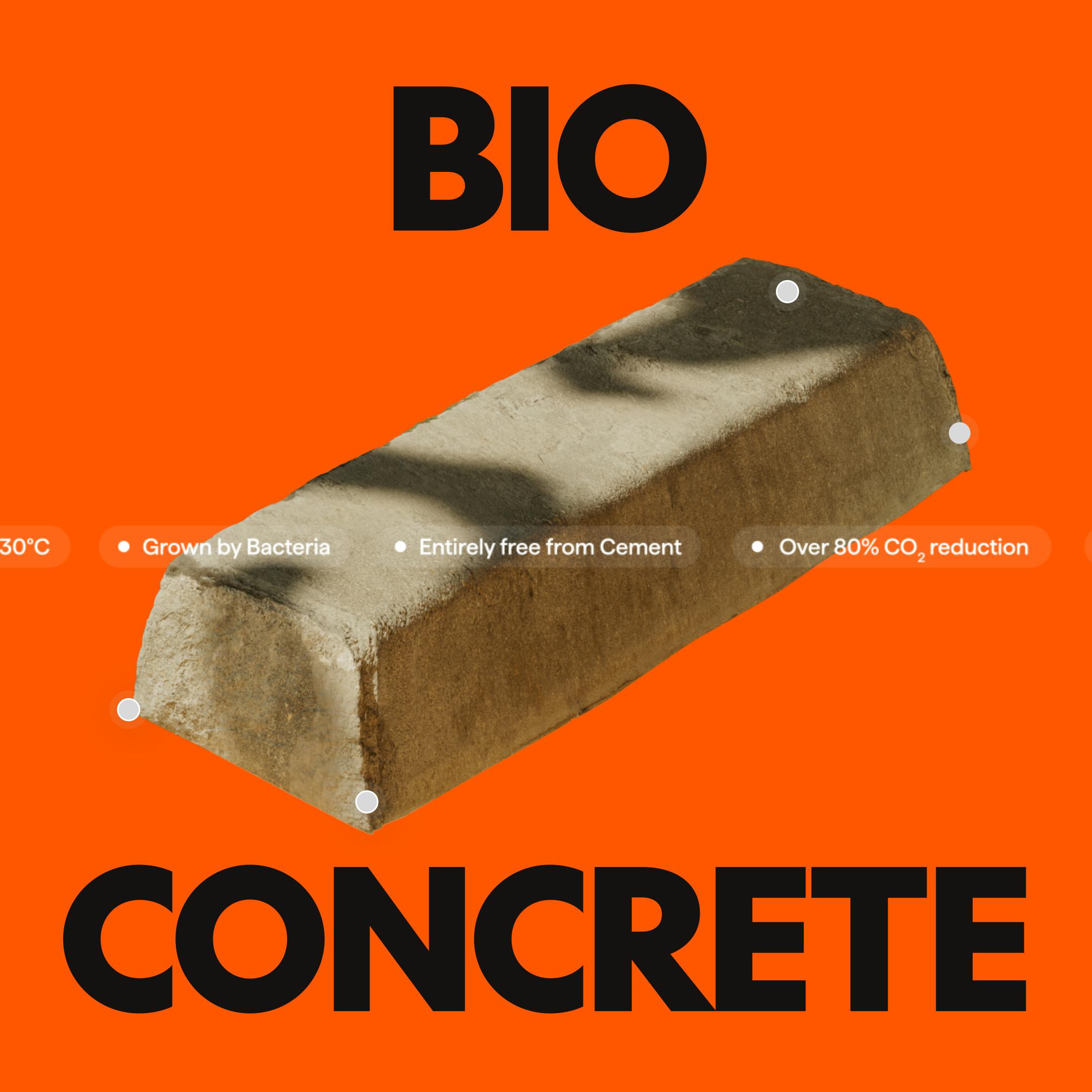 Brand Strategy, Verbal & Visual Identity for Biozeroc