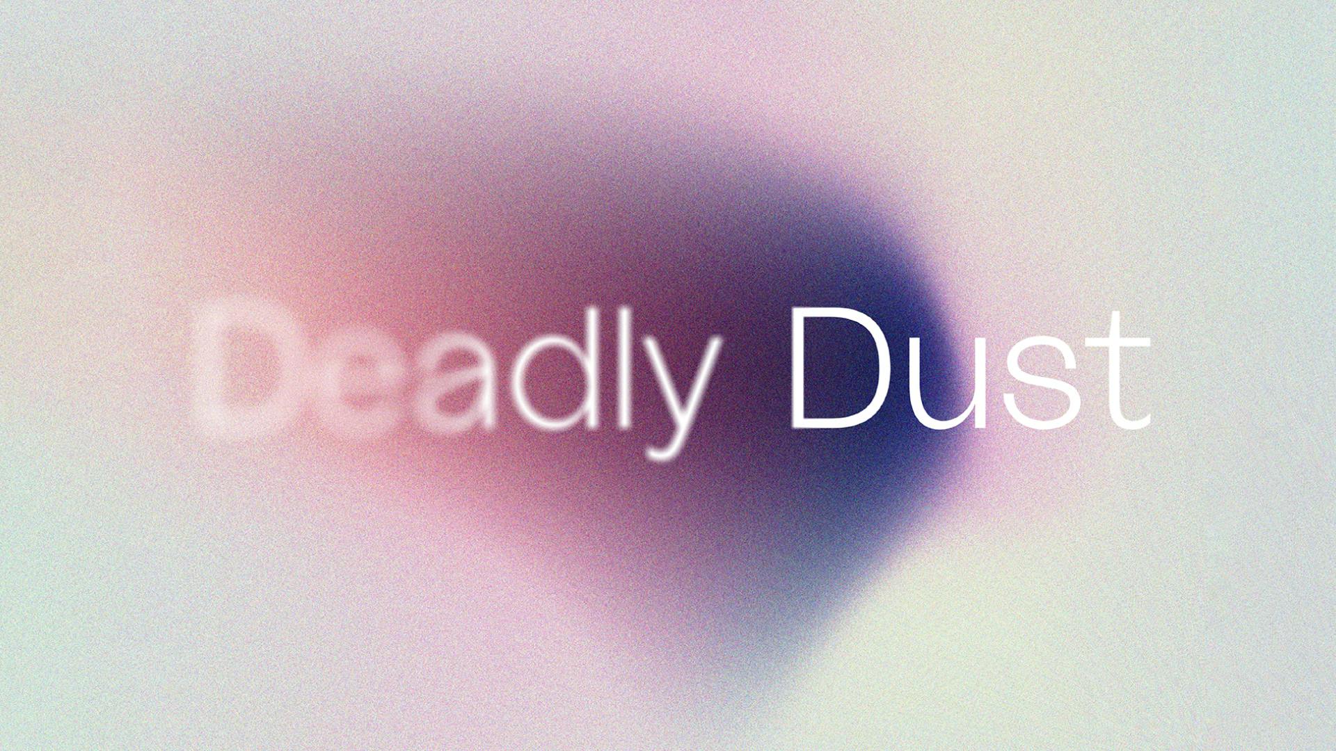 Wild Thingz Rebrand & Website Design & Development