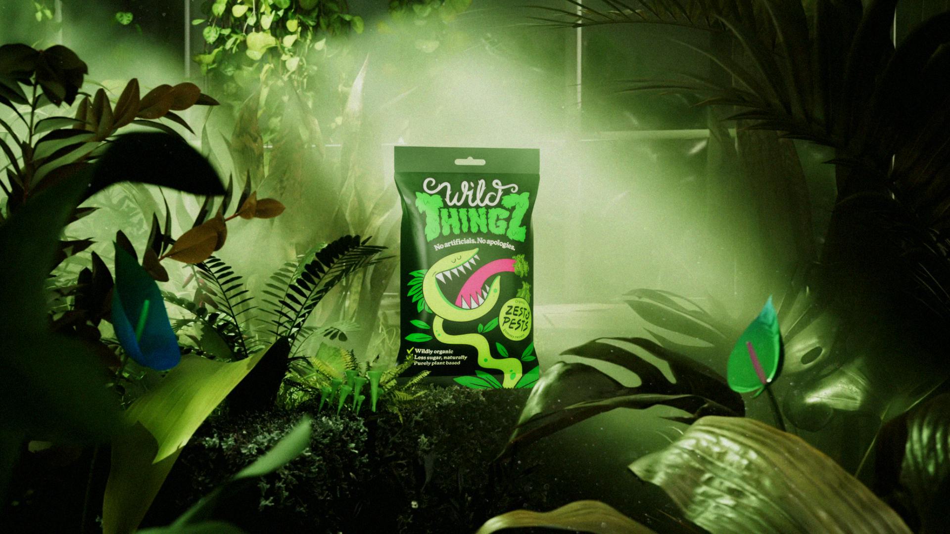 Wild Thingz Rebrand & Website Design & Development