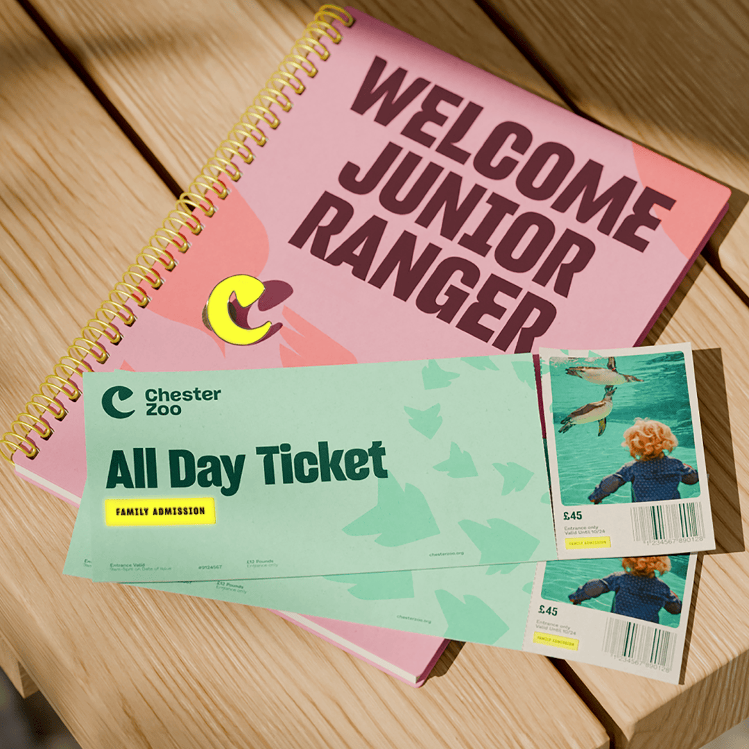 Chester Zoo Rebrand, Web Design & Web Build