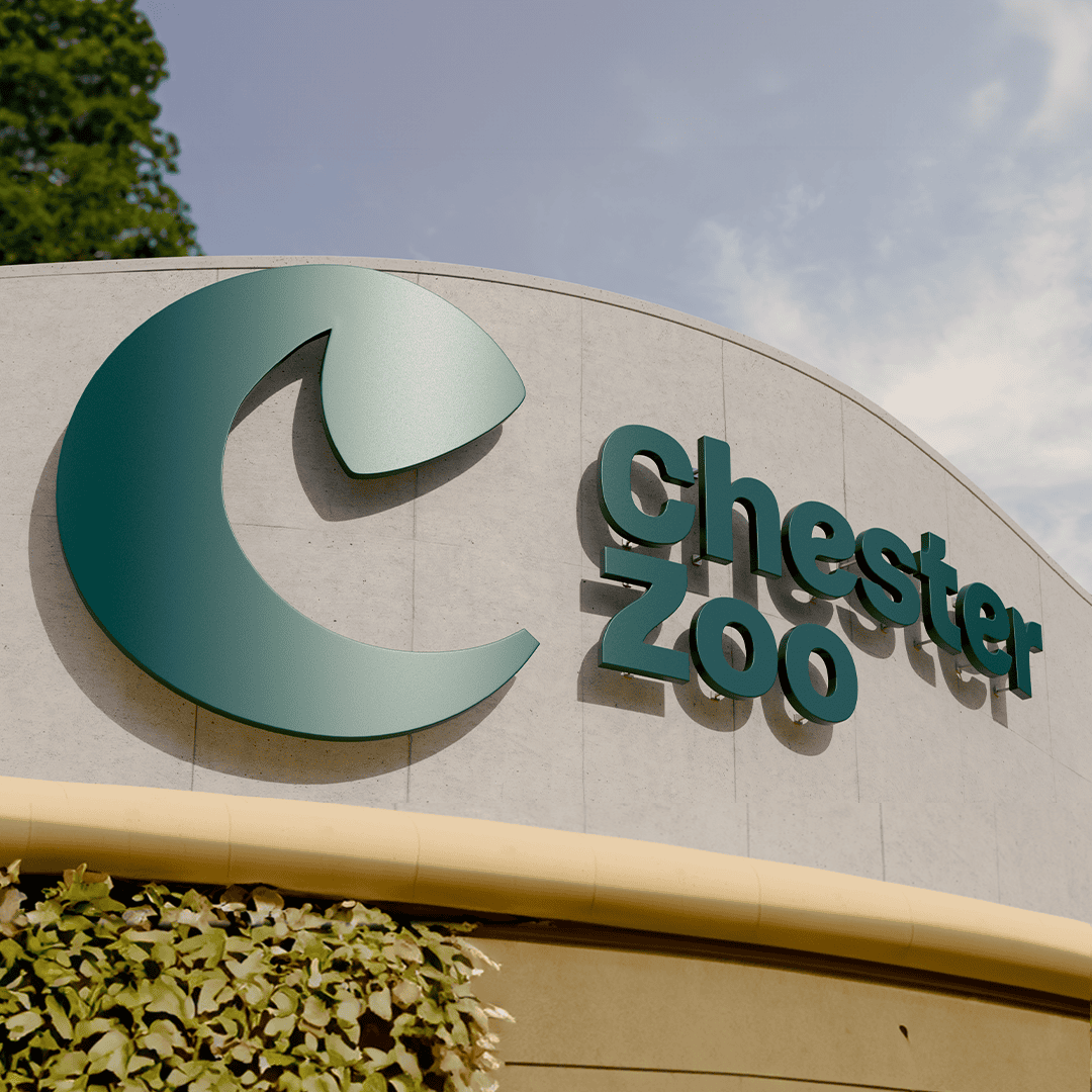 Chester Zoo Rebrand, Web Design & Web Build