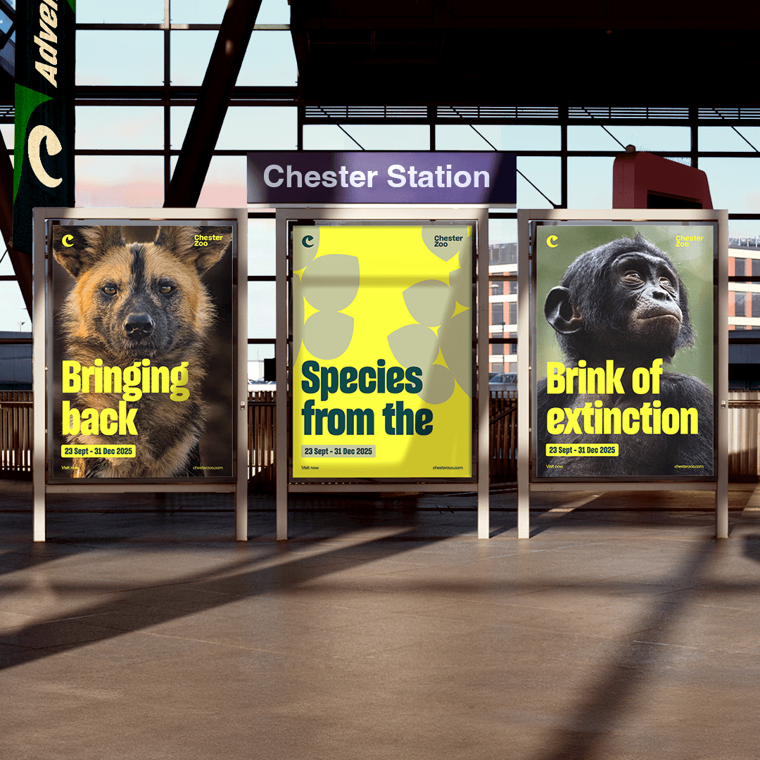 Chester Zoo Rebrand, Web Design & Web Build