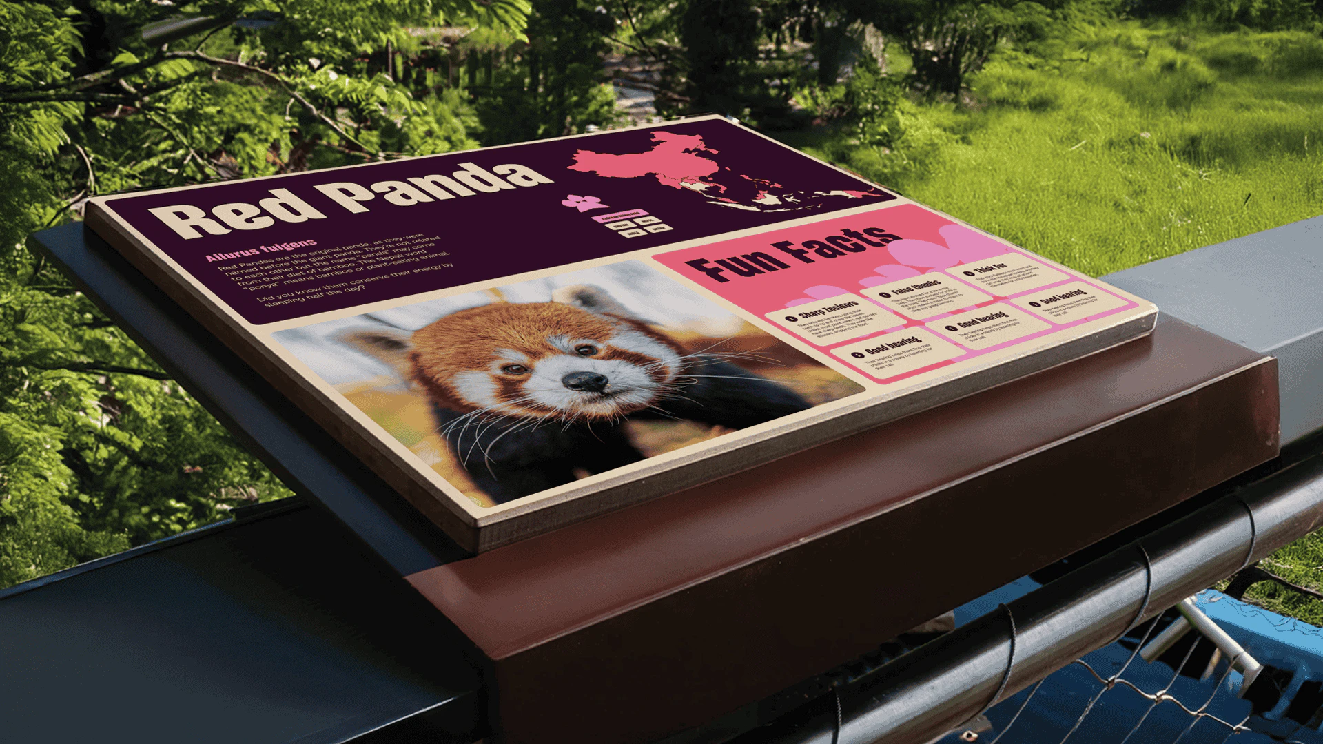 Chester Zoo Rebrand, Web Design & Web Build