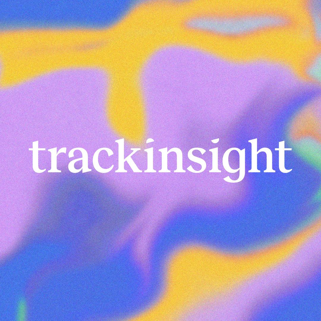 Brand Strategy, Verbal & Visual Identity for Trackinsight