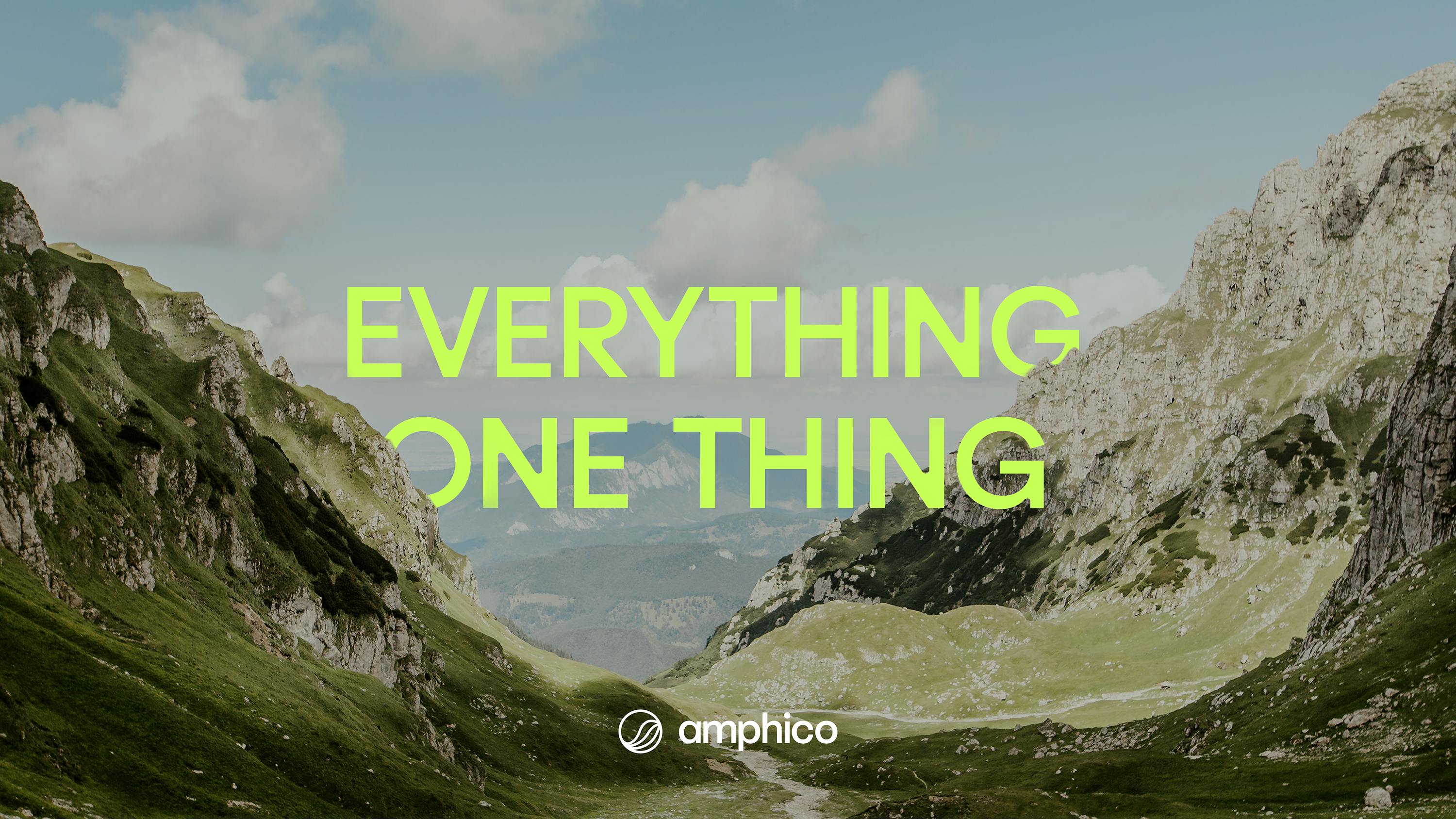Brand Identity, Website Design & Website Development for Amphico