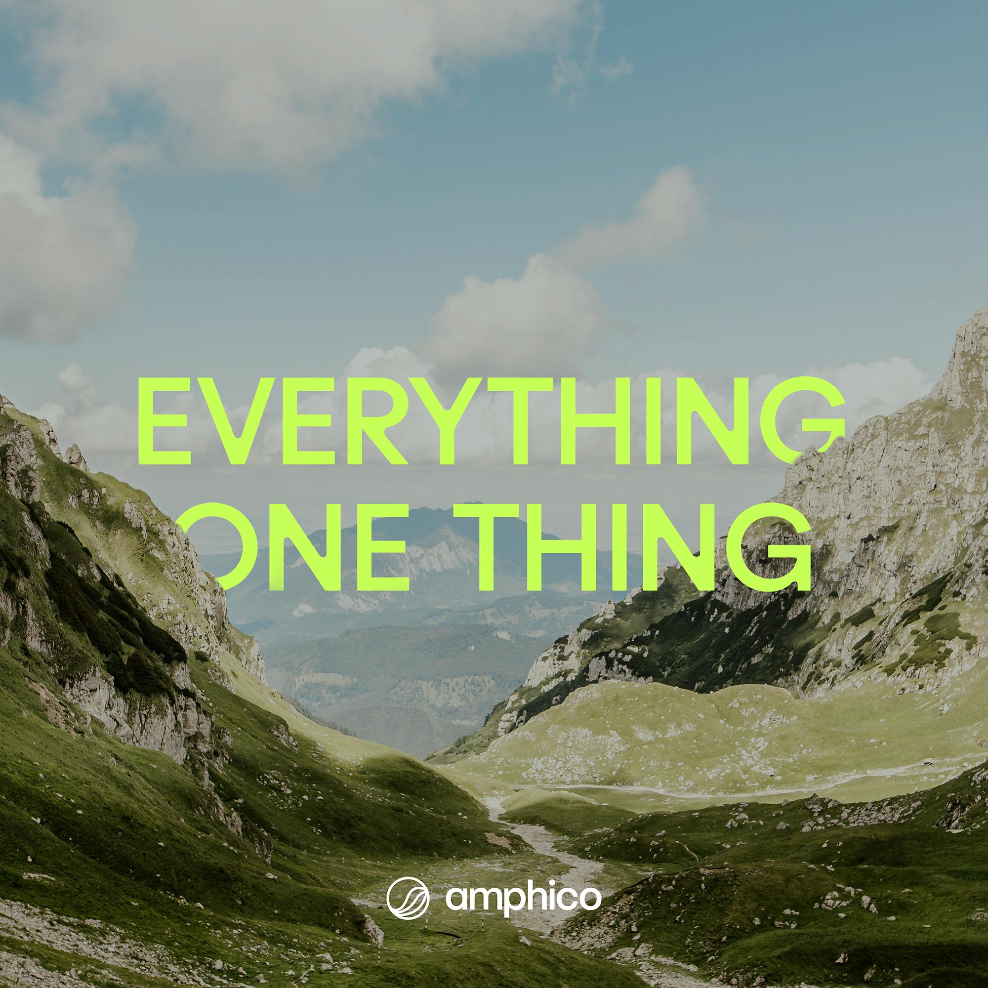 Brand Identity, Website Design & Website Development for Amphico