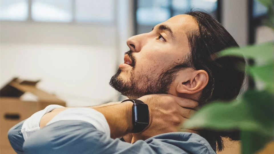 Historien om IA-systemet