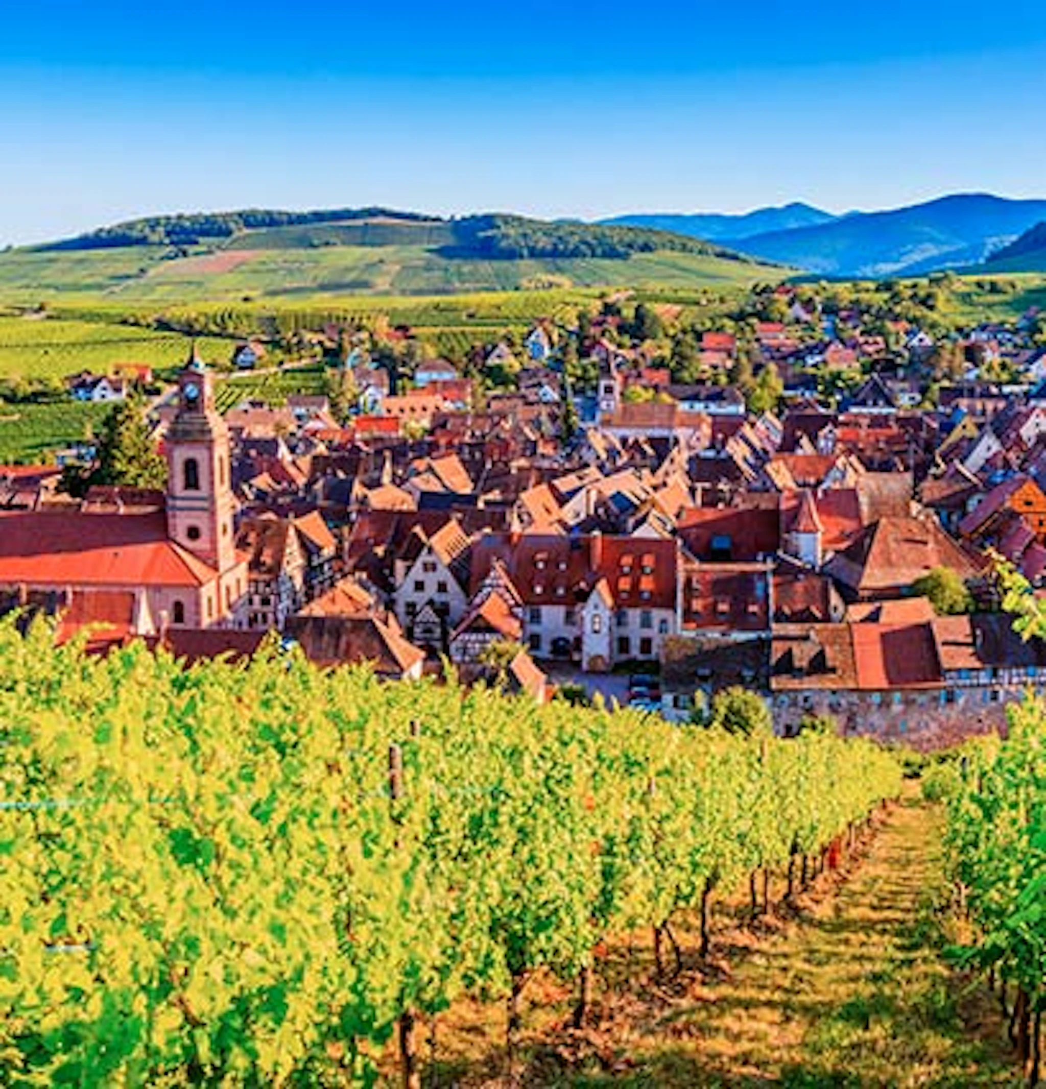 Wines from Alsace for sale at fixed price - iDealwine