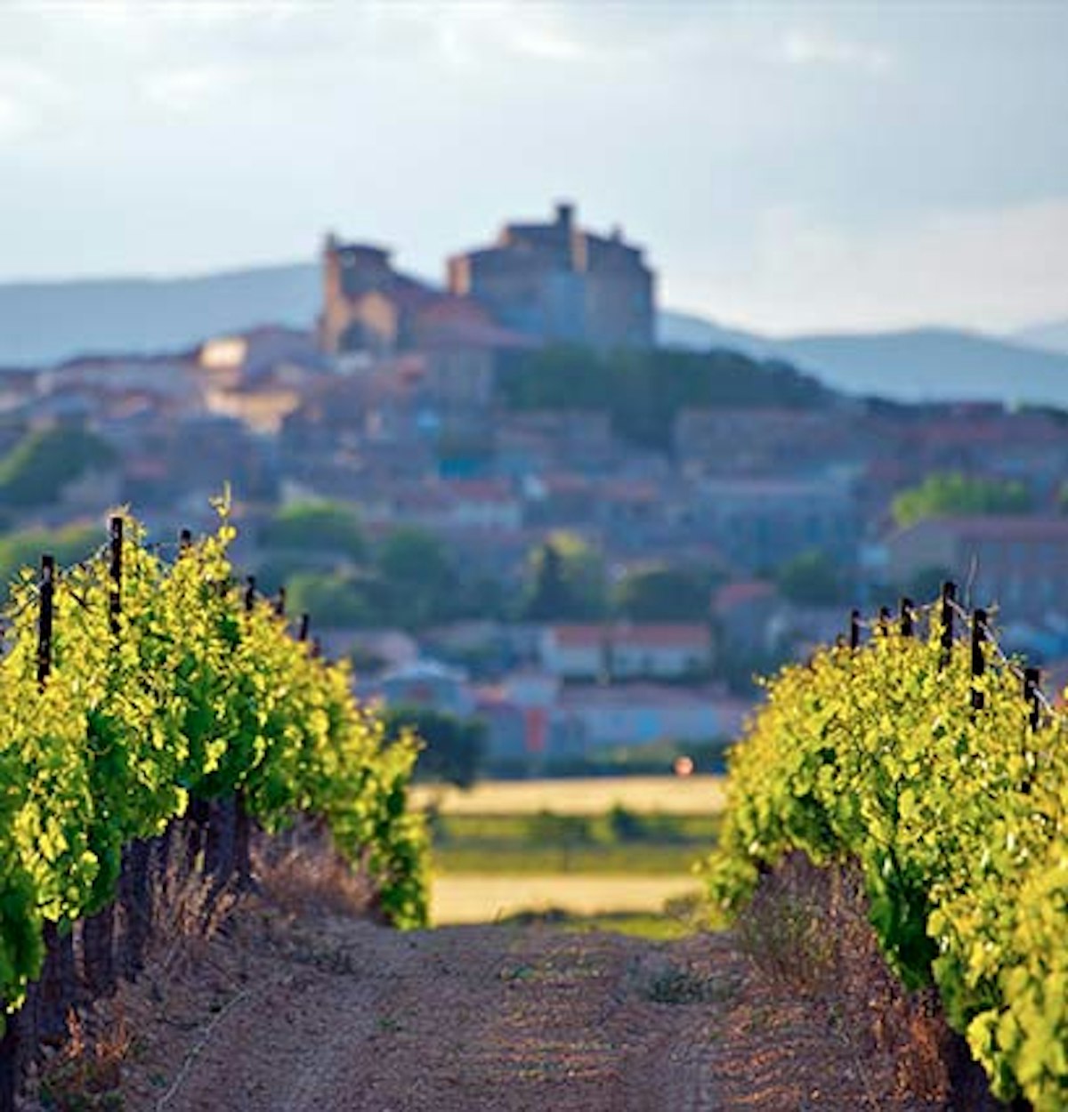 Vins de Languedoc - iDealwine