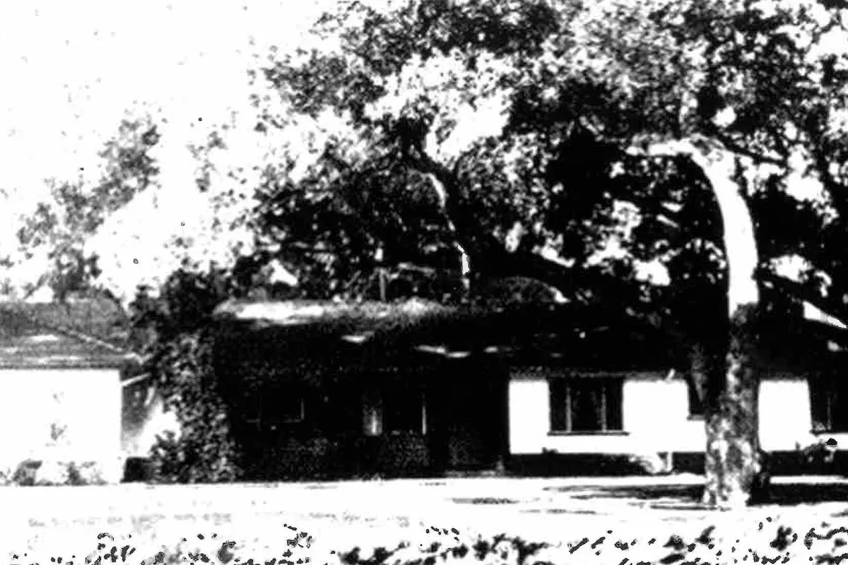 About | Institute for Humane Studies