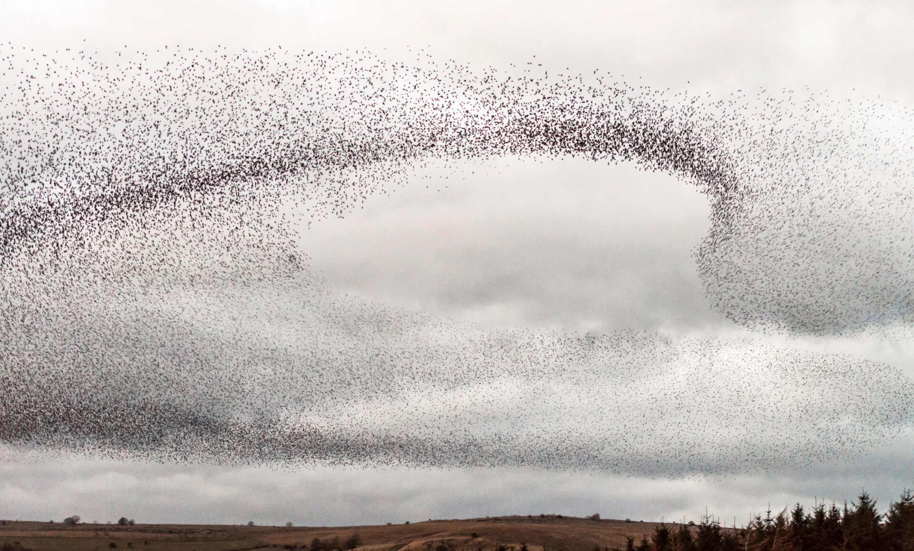 Spontaneous Order: A Testament to Human Creativity and Adaptability ...