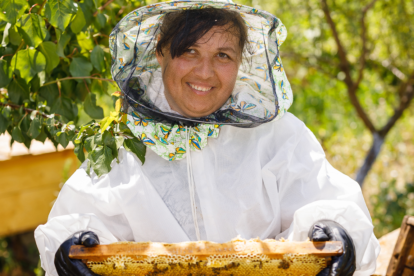 Bees – A remedy for business success | ILO Voices
