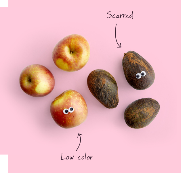 Grocery Delivery for Organic Food, Fresh Produce & More