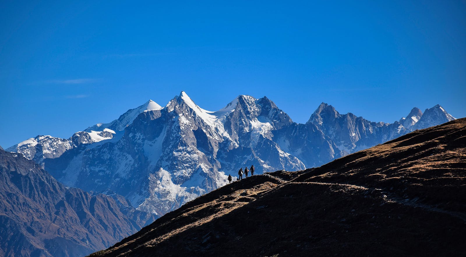 Phulara Ridge Trek 2023 - Trekking in Uttarakhand - Indiahikes